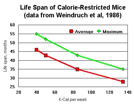 Eat Less, Live Longer? , Manajemen Stress, Training Motivasi